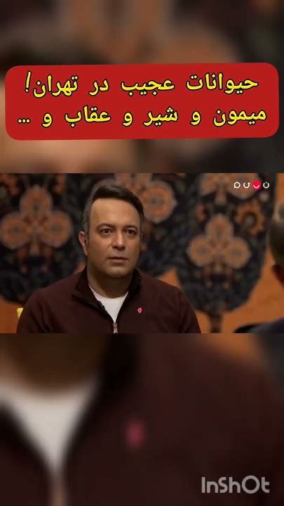 حیوانات فوق العاده وسط خیابون تهران، برمودا Youtube