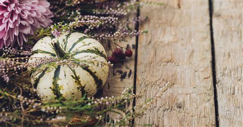 시골의 가을 세련된 호박 단풍 보라색 달리아 꽃 소박한 오래된 나무 배경에 헤더 농촌 가을 수확 구성 행복한 추수 감사절과 할로윈 사진 Unsplash의 식물 이미지