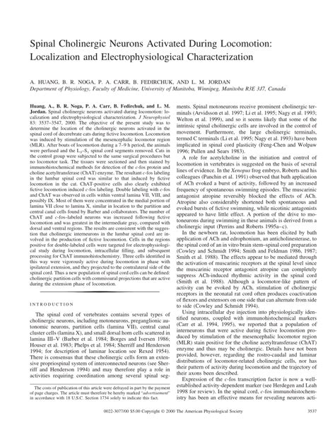 Pdf Spinal Cholinergic Neurons Activated During Locomotion Localization And