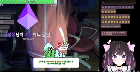 보면 믿기힘든 한장면 치지직 에펨코리아