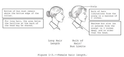 Grooming Standards Usmc Uniform Guide