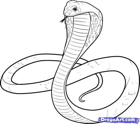 Cobra Coloring Page Printable