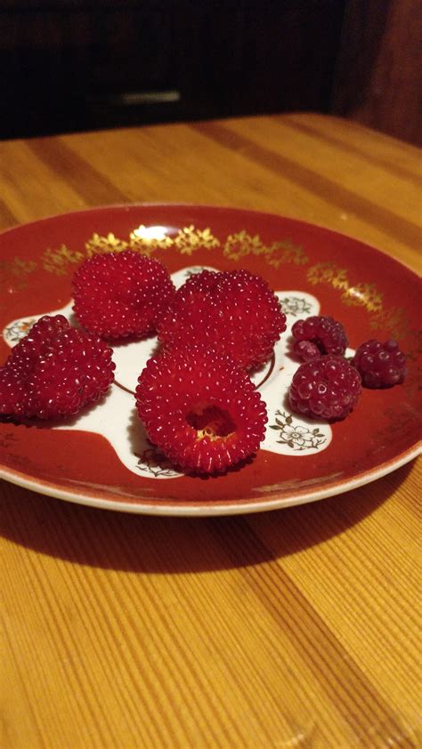 What Is This Big Raspberry Like Berry R Berries