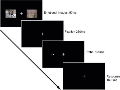 Schematic Description Of The Stimulus Pattern Of One Trial In The Main