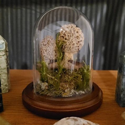 Bolga Basket Foraging Backpackbasket Backpackafrican Basket Backpack