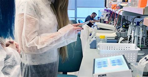 Maryville High Schools Grace Pepperman Wins National Essay Contest