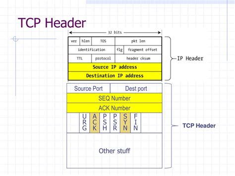 Ppt Network Protocols And Vulnerabilities Powerpoint Presentation Free Download Id5596227