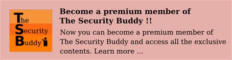 What Is SSL VPN The Security Buddy