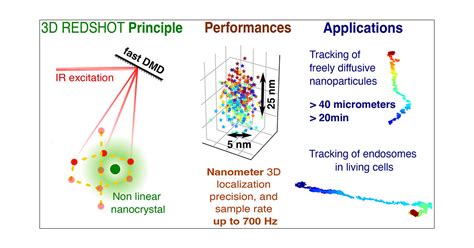 3d Real Time Two Photon Microscopy Device For Single Particle Holographic Tracking 3d Red Shot
