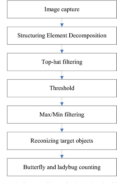 Figure 2 From Development Of A Classification Algorithm For Butterflies And Ladybugs Semantic