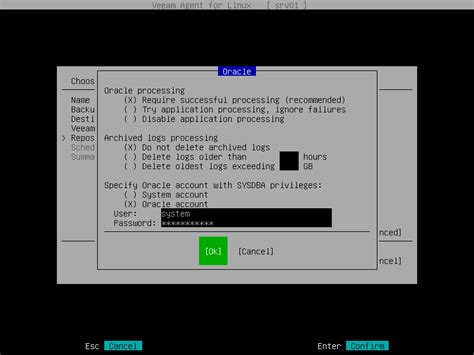 Oracle Database Processing Settings Veeam Agent For Linux User Guide