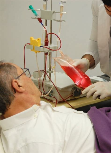 Male Sexual Wellness Stem Cell Protocol Erectile Dysfunction