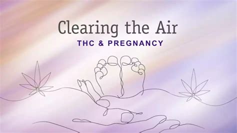 Misinformation Watch Examples Of Fake News Fact Checking And More