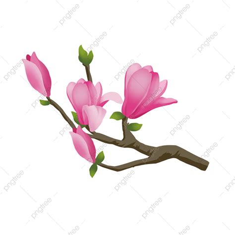 핸드 플 라 워 화훼 자연 식물 장식 일러스트 소재 손으로 그린 꽃들 식물 Png 일러스트 및 Psd 이미지 무료 다운로드 Pngtree