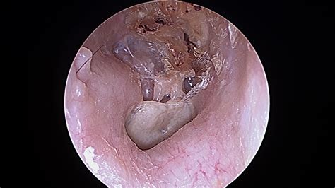 Image Library Dr Sean Flanagan