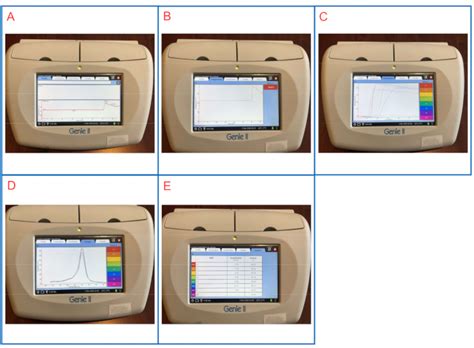 Loop Mediated Isothermal Amplification For Screening Salmonella In