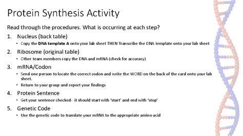 Protein Synthesis Activity Read Through The Procedures What
