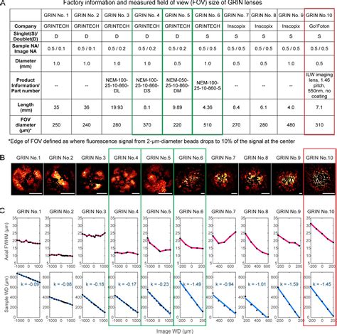 Figures And Data In High Throughput Synapse Resolving Two Photon