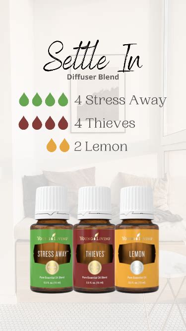 Settle In Diffuser Blend Artofit Settle In Diffuser Blend Artofit