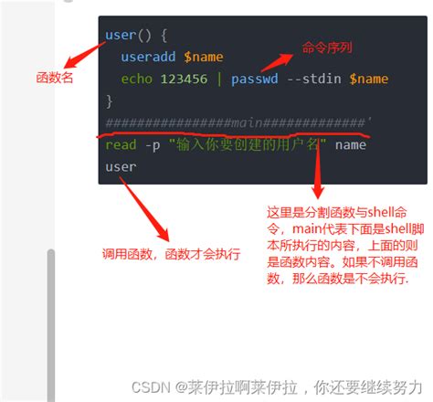 Shell函数 Csdn博客