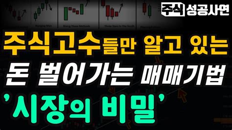 주식성공사연｜주식고수들만 알고 있는 돈 벌어가는 매매기법｜성공하는 투자원칙 모음｜시장을 이기고 싶다면 이 방법밖에 없습니다