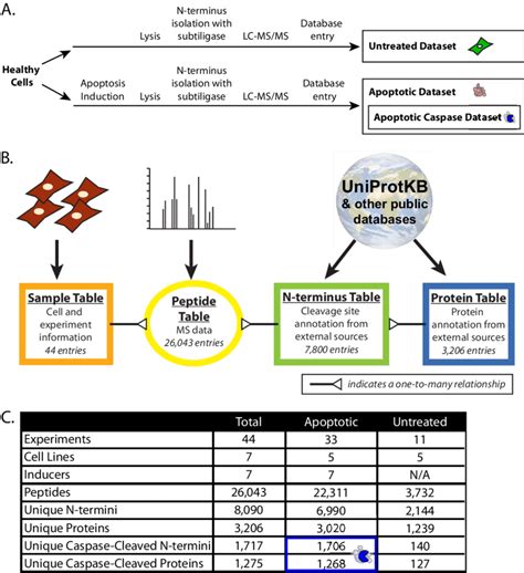 Experimental Schema Database Design And Database Summary A For