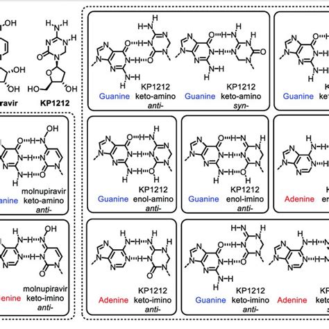 Prototropic Tautomerism In Cytosine Nucleic Acid Bases Contain Keto