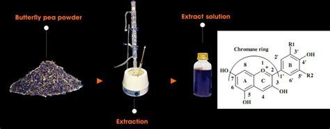 Anthocyanin Extraction Methods