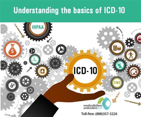 Understand The Basics Of ICD Codes Structure Medical Coding Jobs Icd Coding Coding