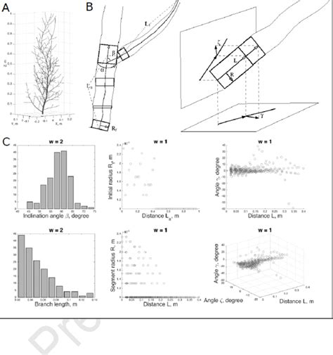 Visual Structure Of A Tree And Its Representation Using The Structural Download Scientific