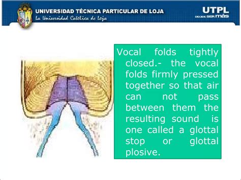 English Phonology I Bim Ppt