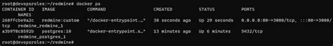 Deploy Redmine Project Management Using Docker DevopsRoles Free