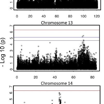 Manhattan Plot Of P Values For Download Scientific Diagram
