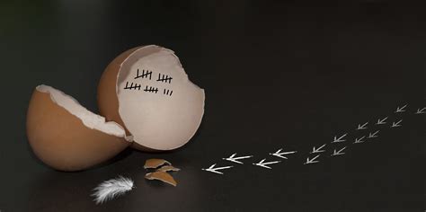 Anna Lichtenstein Stimmt´s