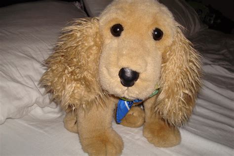 Ty Classic Plush Cocker Spaniel Charlie By Vesperwolfy87 On Deviantart