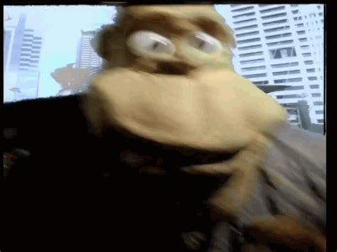Gorilla 