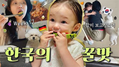 🇩🇪독일에서 온 손자가 기다린 할머니 퇴원🍯꿀맛같은 한국 임신생활🤰🏻한국브이로그 Ep2 Youtube