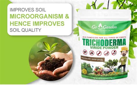 Trichoderma Viridi Fungicide For Plants Bio Fungicide Prevents Fungal