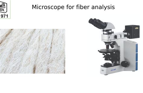 Ai Microscopes Revolutionizing The World Of Microscopy