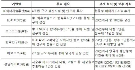 배터리산업협회 첨단위 결정 국내 전 밸류체인 완성