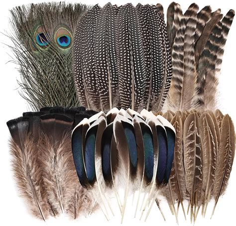 Natural Feathers Bulk 55pcs 6 Styles Assorted Natural