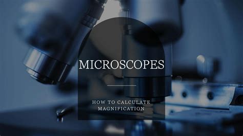 Solution Igcse Biology Magnification Studypool Solution Igcse Biology Magnification Studypool
