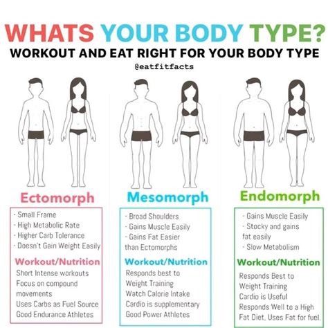 Pin By Michelle Dorner On Wellness Body Type Workout Metabolic Type