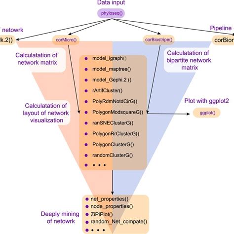 Pdf Ggclusternet An R Package For Microbiome Network Analysis And