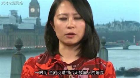华裔哈佛教授金刻羽，口出狂言：中国应无条件支援美国抗疫高清1080p在线观看平台腾讯视频