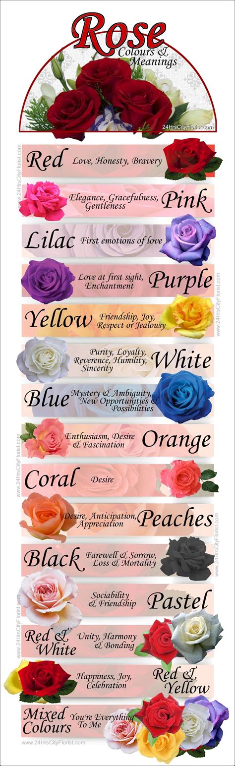 What Are The Diffe Colors Of Roses And What Do They Mean Infoupdate Org
