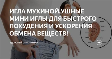 Серьга для похудения- вся правда о сережке Марият Мухиной