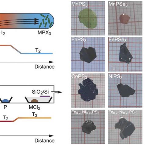 Schematic Views Of The A Cvt And B Cvd Synthesis For Bulk Mpx3 Download Scientific Diagram