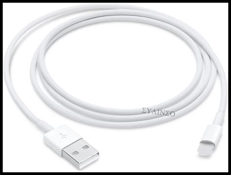 For Apple Lightning To Usb Cable 1 Maccessories Grandado