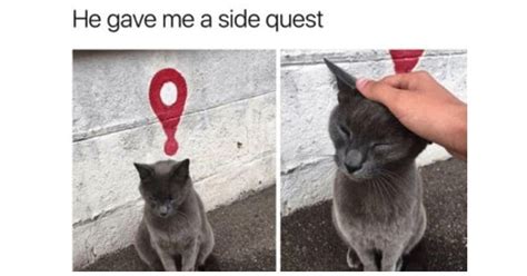 Cat Memes Because Felines Rule The Internet Still 40 Memes